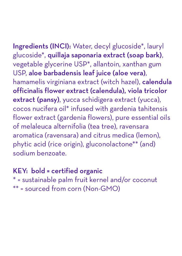 Squeaky Clean!™ Moisturizing Handwash (half gallon)